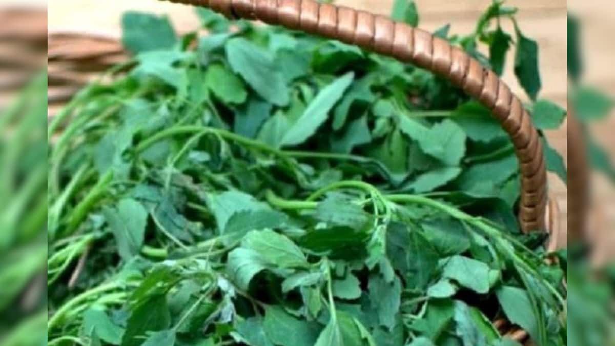 Saag Leaves Benefits: সস্তা শাকে মস্ত উপকার! নির্বংশ হবে জটিল রোগ, 'এই ...