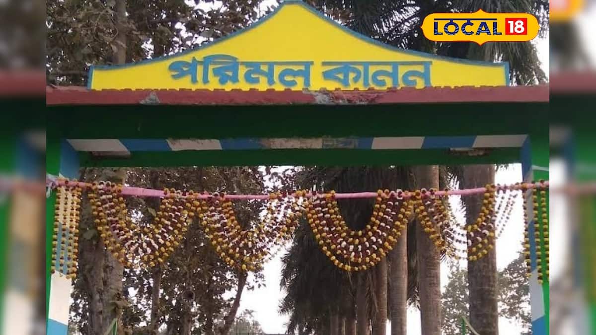 Travel: কলকাতার খুব কাছেই আছে ঘোরার আদর্শ ঠিকানা! বর্ষায় চলে আসুন গাছ ...