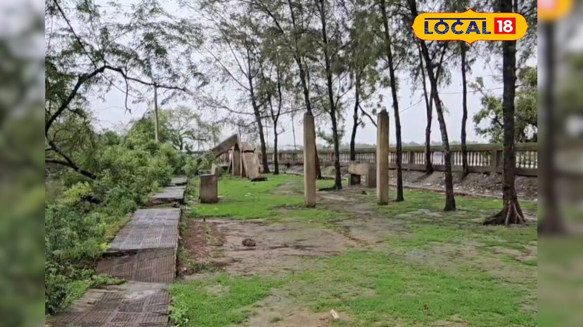 নদী ভাঙনের জেরে সুন্দরবনে হারিয়ে যেতে বসেছে শিশু উদ্যান | River ...
