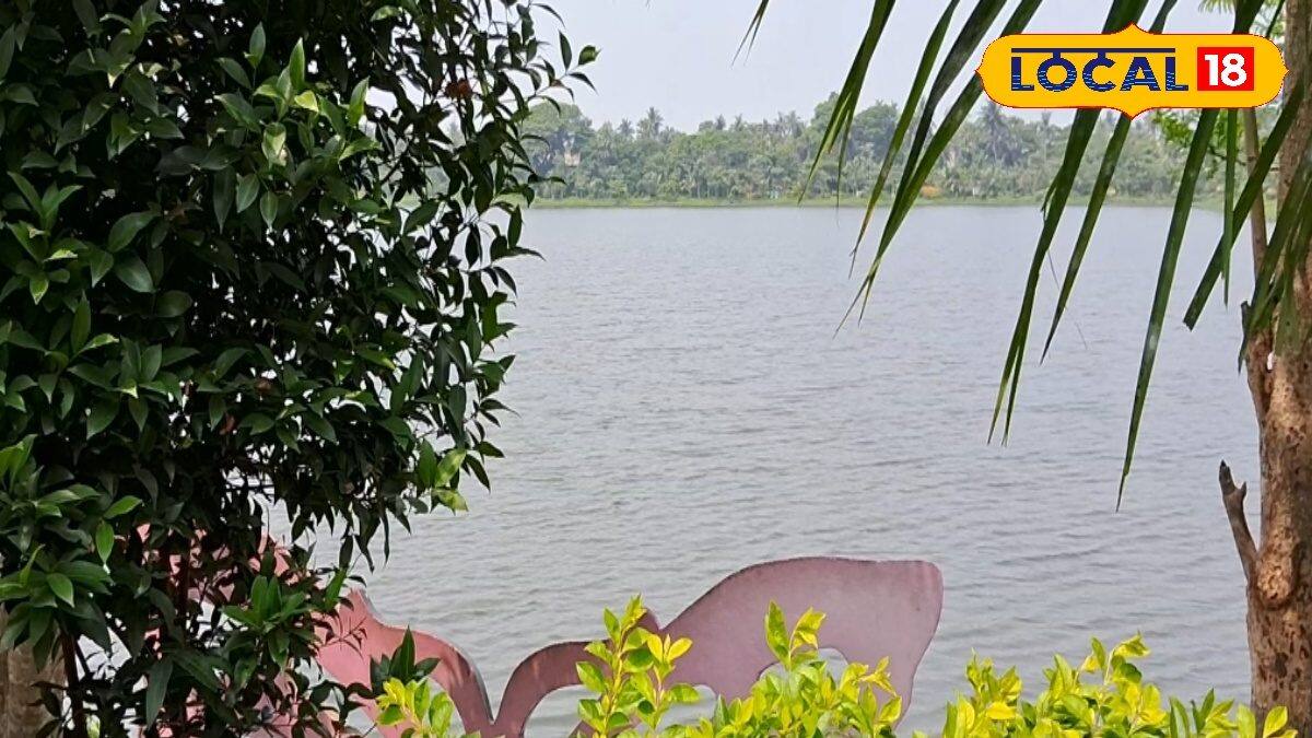 Sundarbans Tourism: হোম স্টে, ক্যাফেটেরিয়া, বোটিং, সেলফি...রঙিন ...