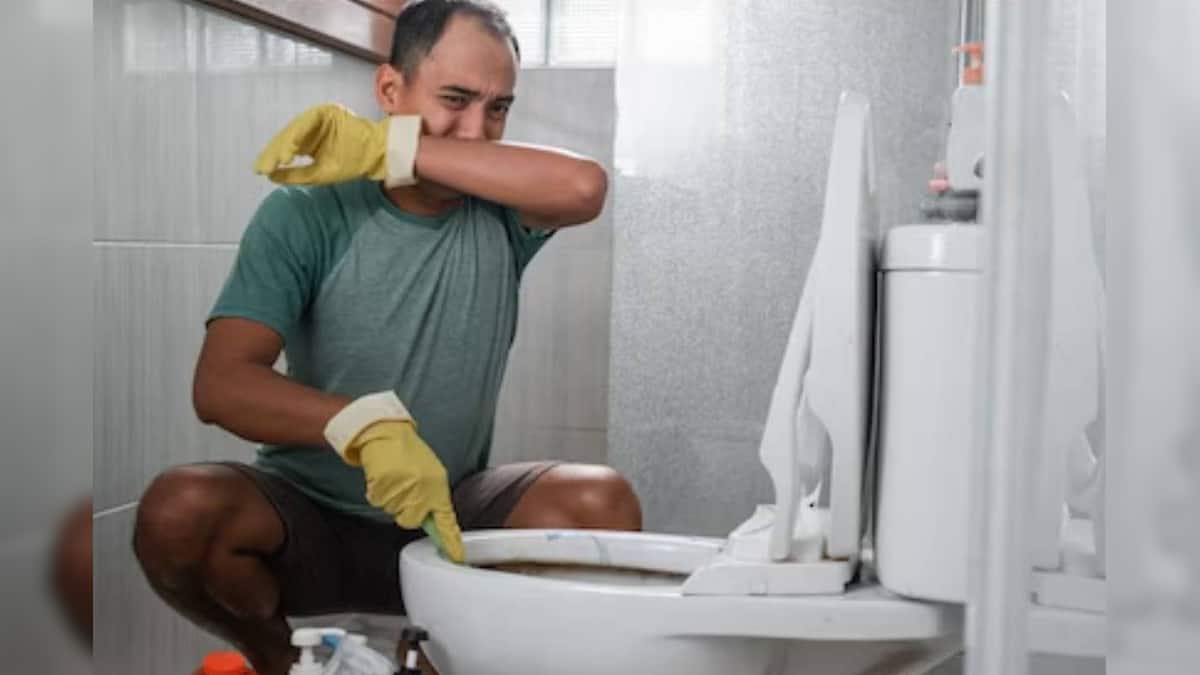 Toilet Commode Cleaning Tips: খরচ হবে না ১ টাকাও! করবে না ঘেন্নাও ...
