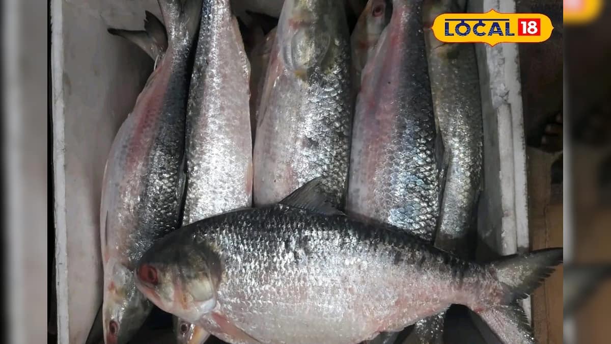 Fish Price সামুদ্রিক মাছে কর কমেছে বাজেটে, এবার হুহু করে দাম কমবে ...