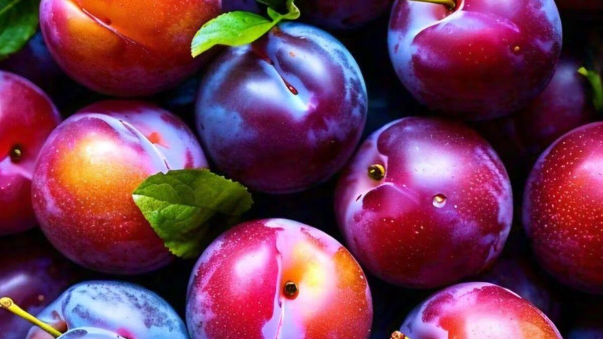 Heart: হার্ট দৌড়োবে...! দূরে থাকবে কোলেস্টেরল থেকে ক্যানসার! বর্ষার এই ...