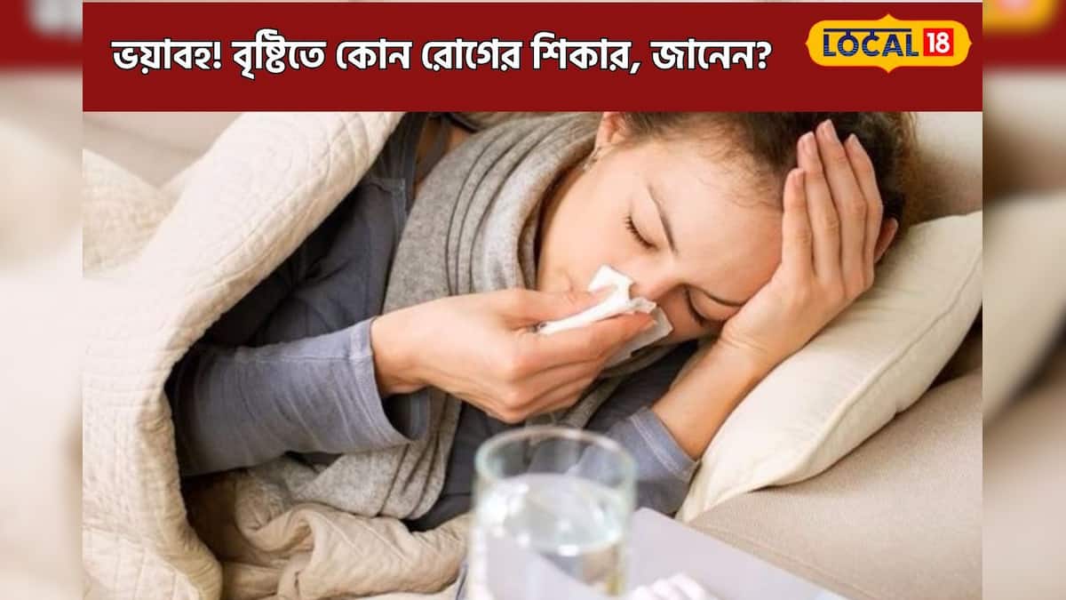 ঘরে ঘরে জ্বর! ডেঙ্গি না ম্যালেরিয়া বুঝবেন কীভাবে, লক্ষণ দেখে কীভাবে ...