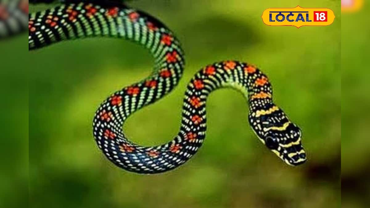 That Kalnagini snake of Mansamangal Kavya is in Howrah, হাওড়া জেলায় ...