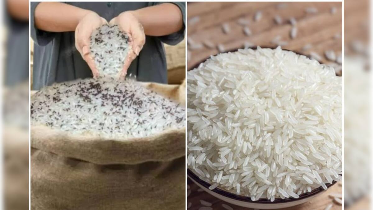 How To Rid From Rice Bugs During Monsoon Know The Home Remedies ...