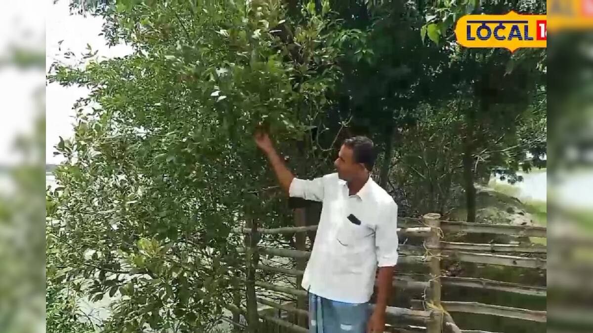 প্রকৃতিকে ভালবেসে একা মাছচাষি ম্যানগ্রোভে সাজিয়ে তুলছেন আন্দুলপোতা ...