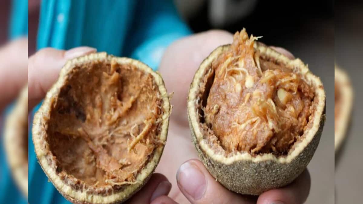 what is the english name of bael fruit বলুন তো কদবেলের ইংরিজি কী? যা ...