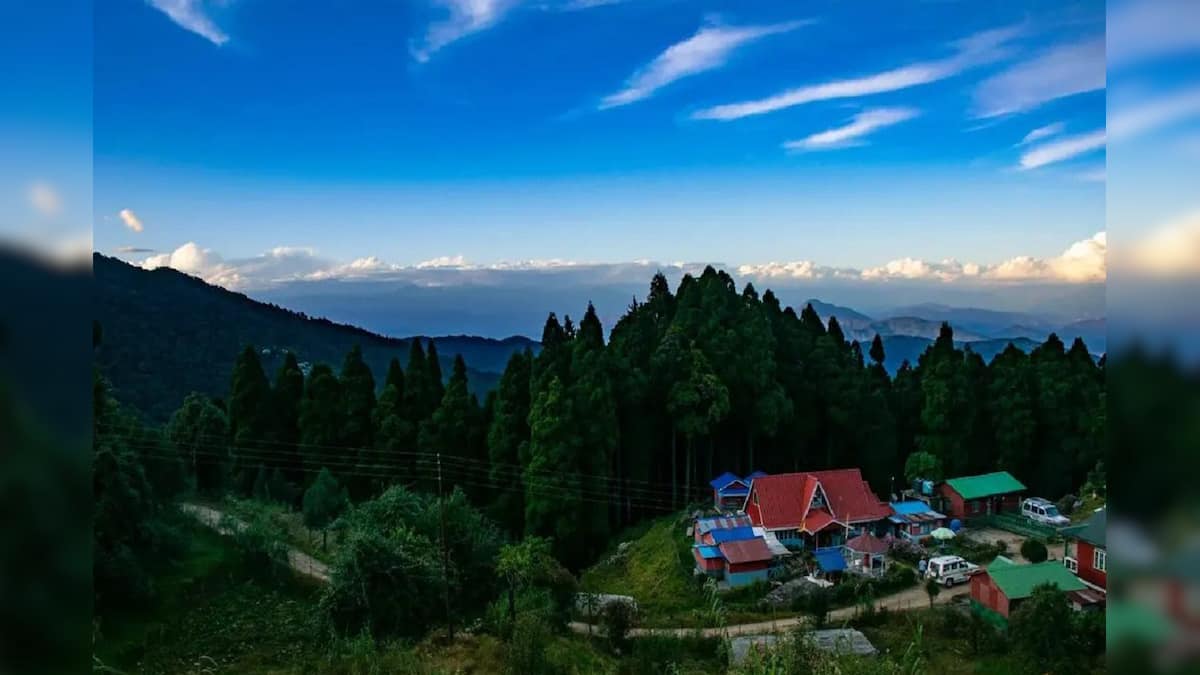 North Bengal Trip | এখানে মেঘ গাভীর মতো চড়ে! ঘরে বসে একই ফ্রেমে ...