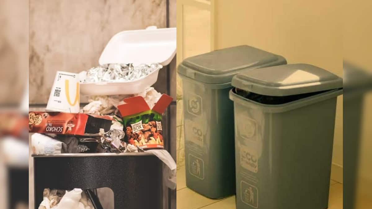 Dustbin Cleaning Tips: ডাস্টবিন থেকে ভয়ঙ্কর দুর্গন্ধ আসছে? ৫ মিনিটেই ...
