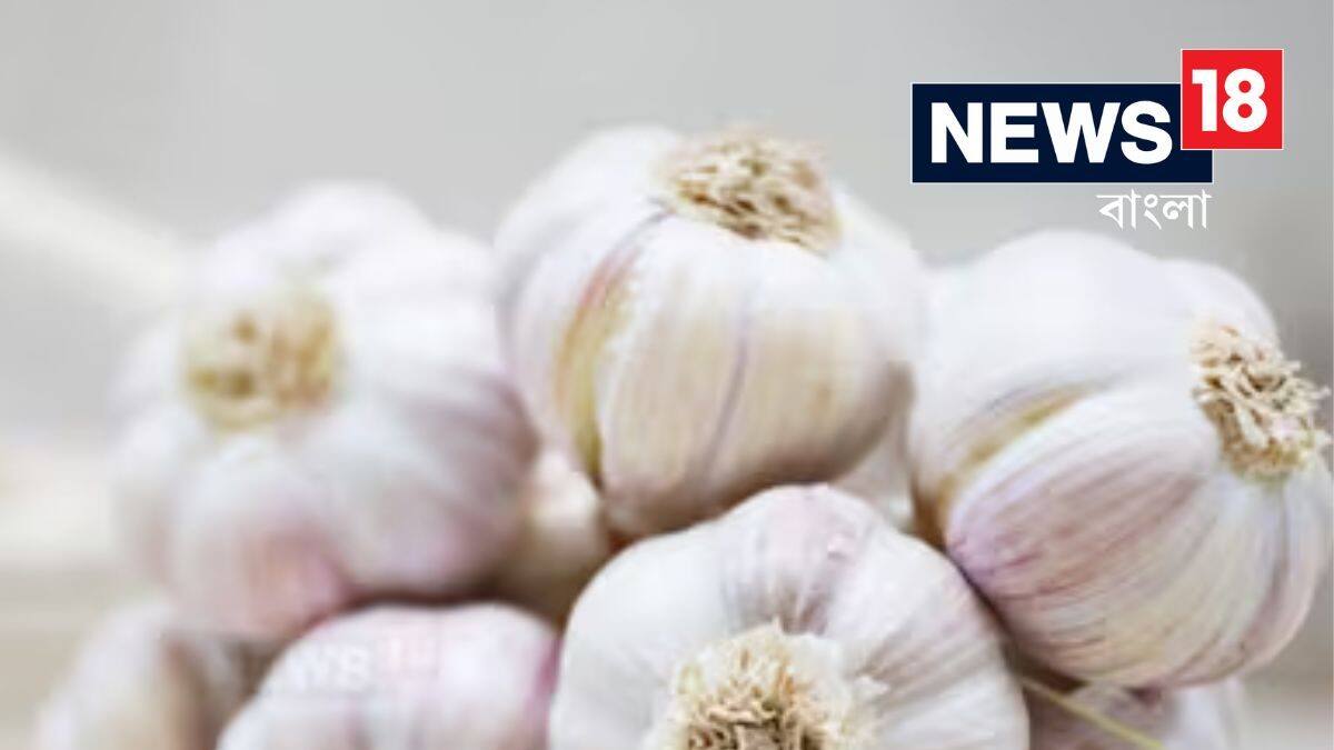 How to identify Chinese Garlic: বাড়িতে ঠিকঠাক রসুনটাই খাচ্ছেন তো? পাঁচ ...