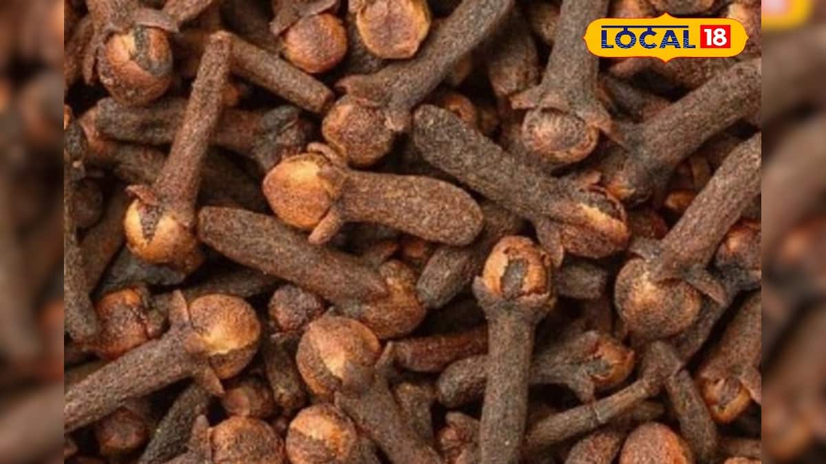 Clove Health Benefits: লবঙ্গদানা আর জলের কামাল! গ্যাস অম্বল বদহজম ...