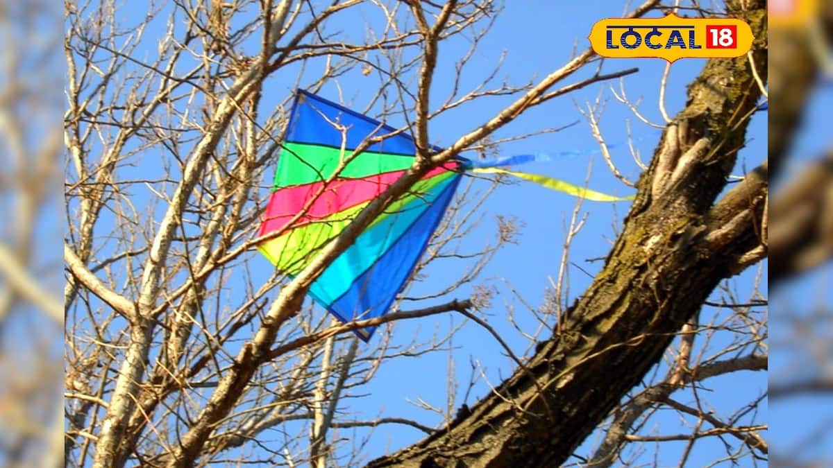 Kite: আনন্দের ঘুড়ি, গাছের ডাল ঢুকে গেল ১০ বছরের শিশুর মলদ্বারে, তারপর ...