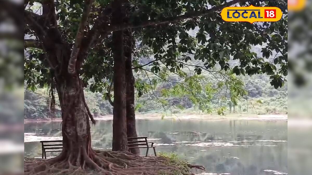 Darjeeling Tour | পুজোর ছুটিতে আকর্ষণের শীর্ষে দার্জিলিং, পরিচর্যার ...