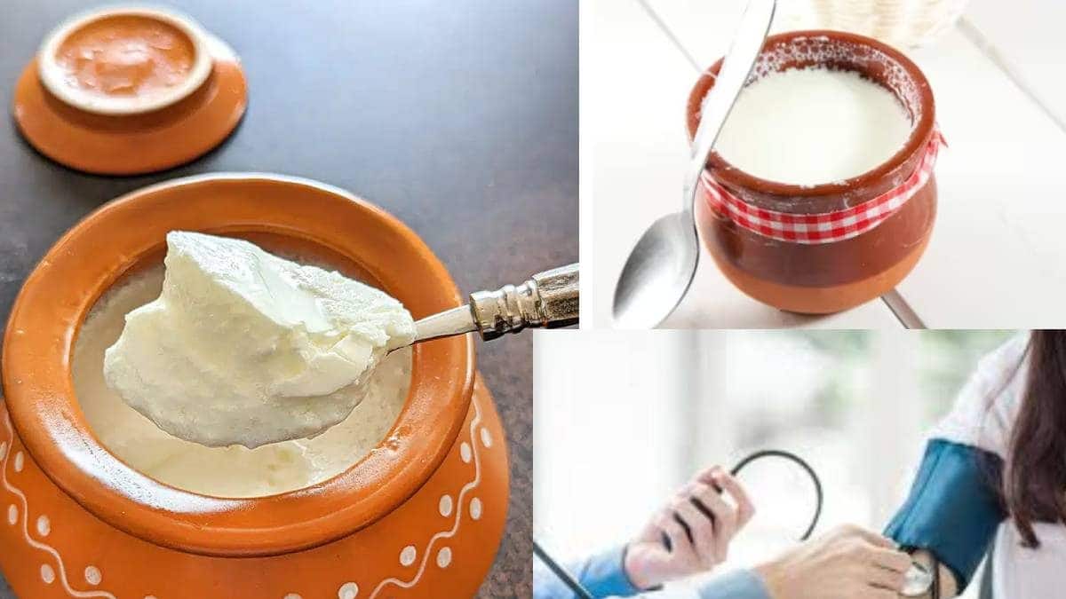 Curd in High Blood Pressure: ব্লাড প্রেশারে কি টকদই খাওয়া যায়? টকদই ...