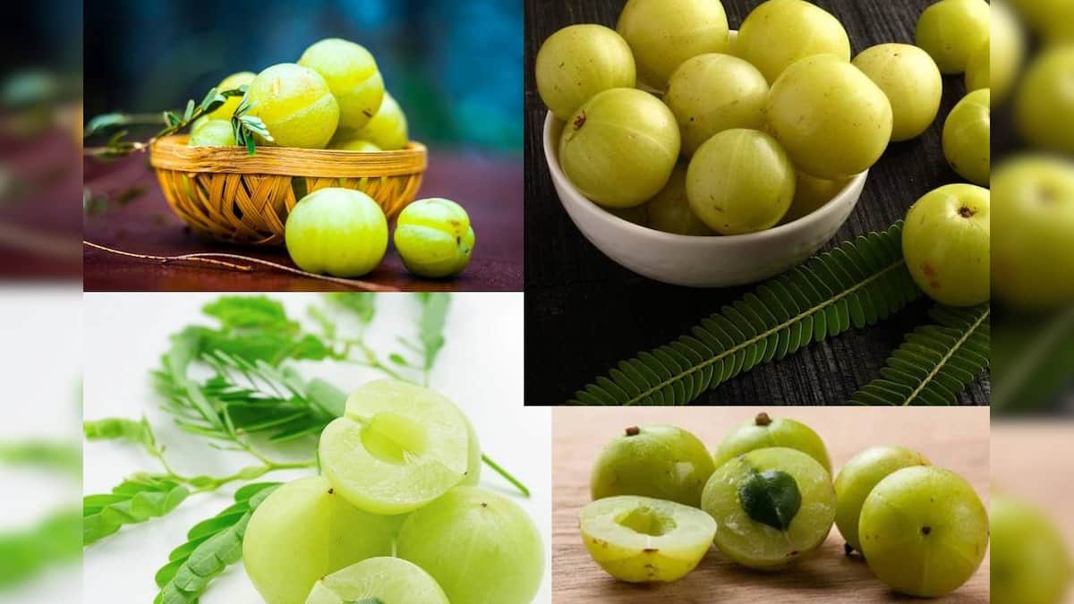 Amla Side Effects: ঝাঁঝরা শরীর! উ‍পকারিতা সত্ত্বেও ভুলেও আমলকি মুখে ...