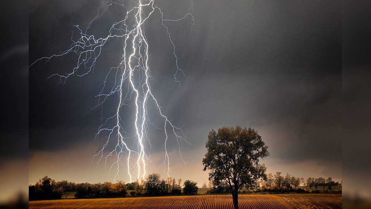 A branded krait snake was recovered in Cyclone dana night from Nadia A ...