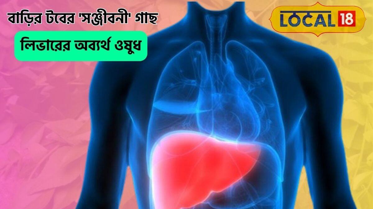 আলসার থেকে মেদ ঝরানো, ছোট-বড় যে কোনও শারীরিক সমস্যায় 'মহৌষধি ...