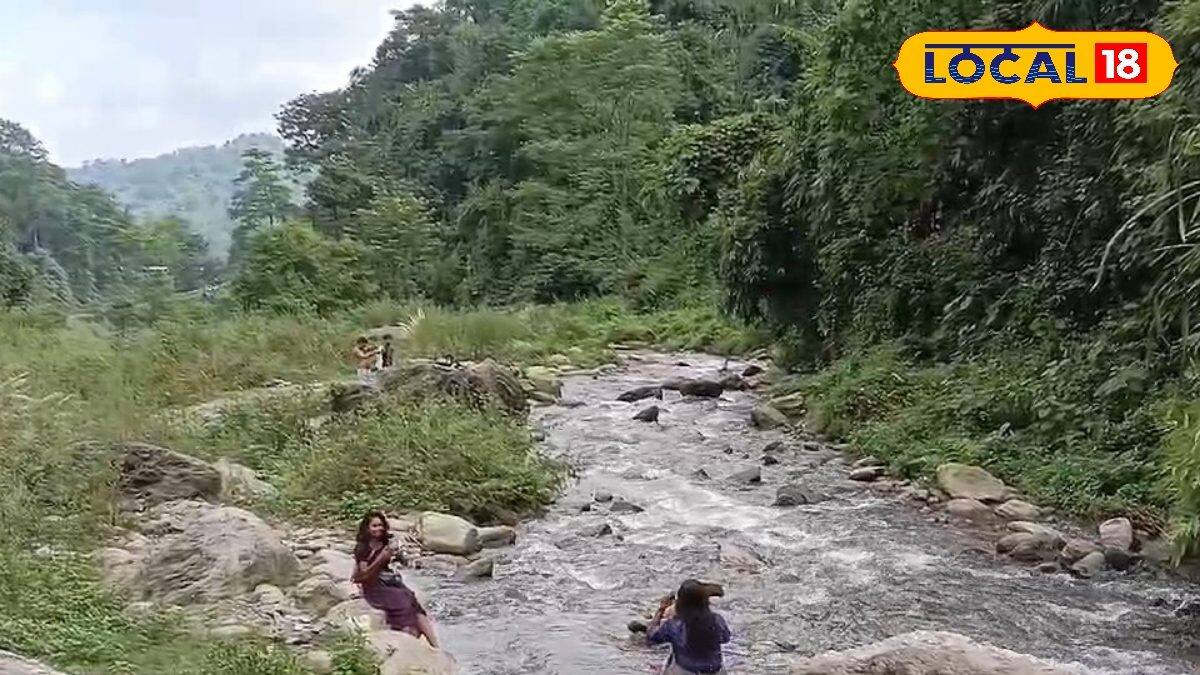 Darjeeling Trip | পুজোর ছুটিতে ডেস্টিনেশন হোক পাহাড়-জঙ্গল-নদী ঘেরা ...
