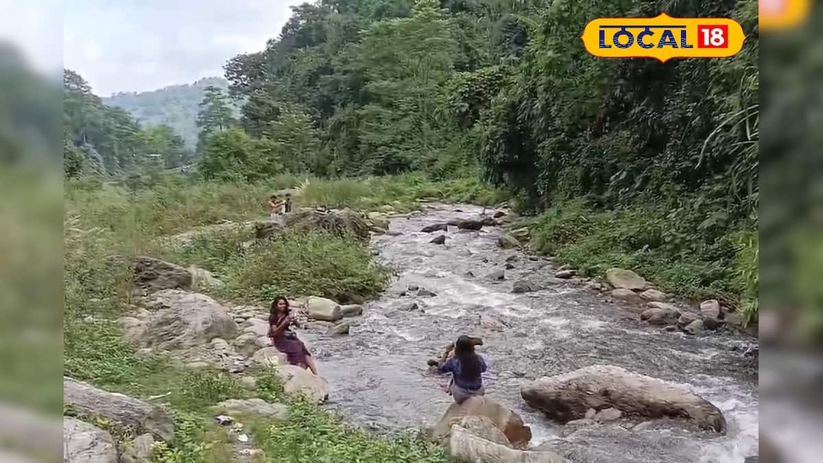 Darjeeling Trip | পুজোর ছুটিতে ডেস্টিনেশন হোক পাহাড়-জঙ্গল-নদী ঘেরা ...