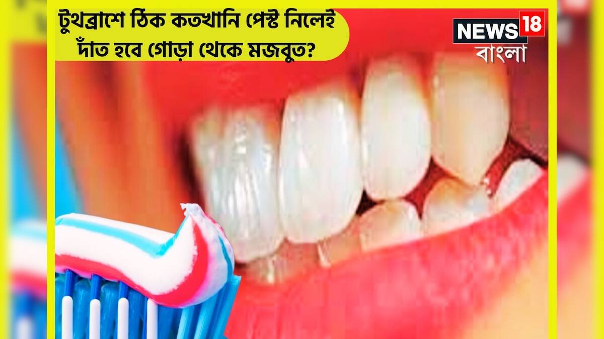 Dental Health Care: সঠিক পরিমাণে টুথপেস্টই ঠিক করে দেবে কতখানি টুথপেস্ট ...
