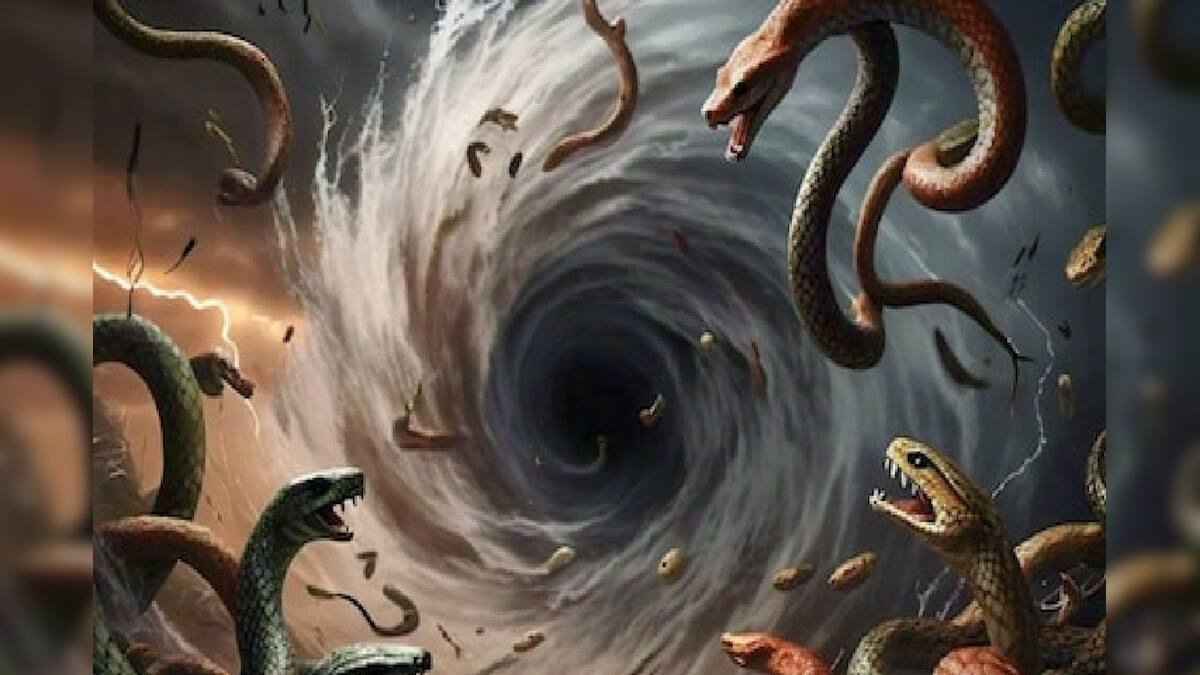 Snake Bite After Dana Cyclone: চারিদিকে বিষধর সাপ কিলবিল করছে! 'দানা' এ ...