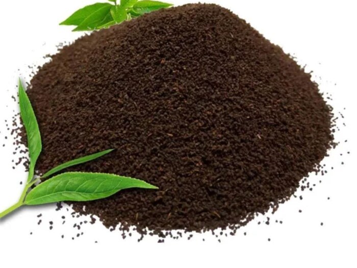 Tea Leaves: আদৌ চা পাতা তো? সকাল সকাল পেটে যাচ্ছে ভেজাল! ঝাঁঝরা করছে ...