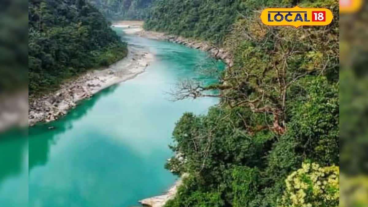 North Bengal Trip | প্রকৃতির মধ্যে হারিয়ে যেতে চান? তাহলে পাহাড়ের এই ...