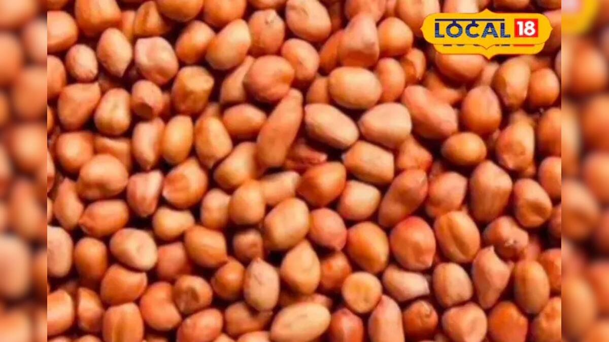 Health Benefits of Peanuts: মাটির তলার এই ছোট্ট জিনিসটিই শীতে আপনার ...