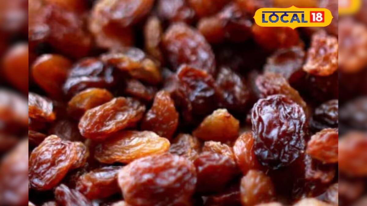 Black Raisins Health Benefits: দেখতে ছোট হলেও দারুণ কাজের এই ফল! শীতে ...