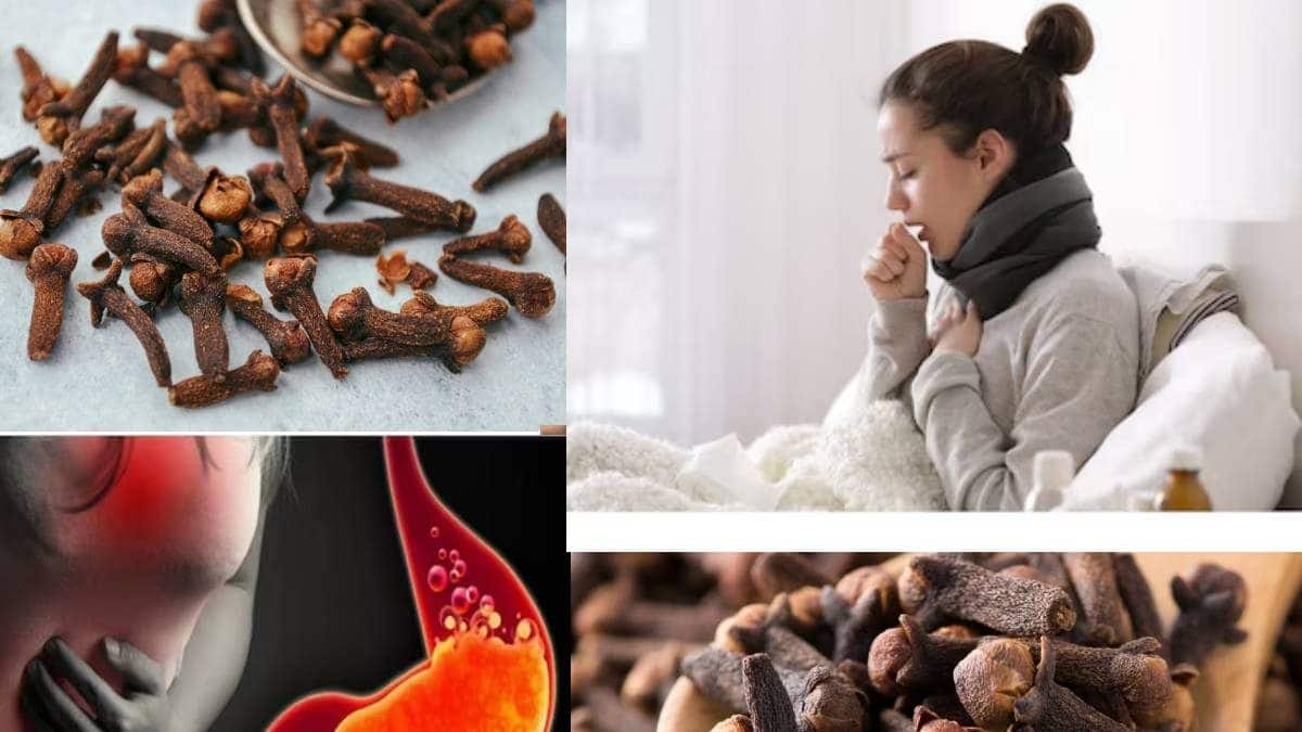 Labanga Health Benefits: কামোদ্দীপক! বদহজমের যম! টেনে বার করে বুকে জমে ...