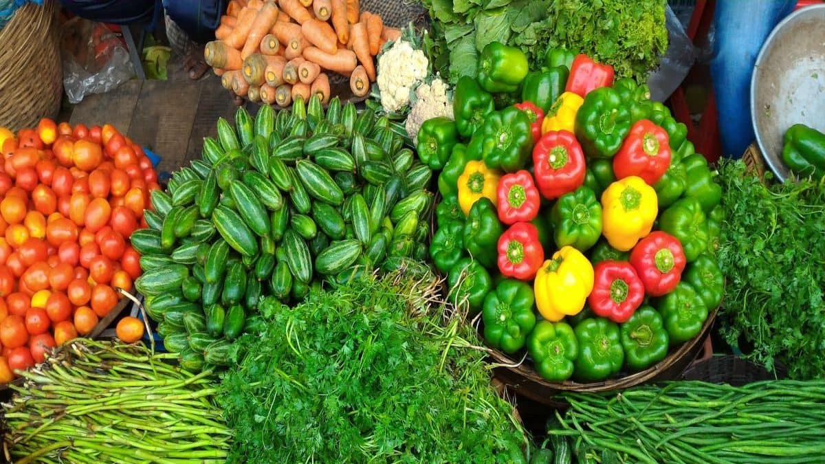 Vegetable Price List: লাফিয়ে লাফিয়ে চড়ছে বাজারদর...! অগ্নিমূল্য সবজি ...