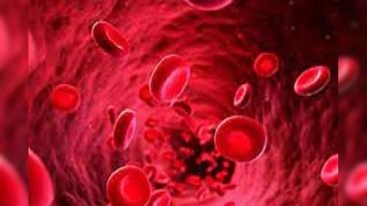 Blood Group Immunity: এই রক্তের গ্রুপের মানুষরা ভাগ্যবান, ইমিউনিটি ...