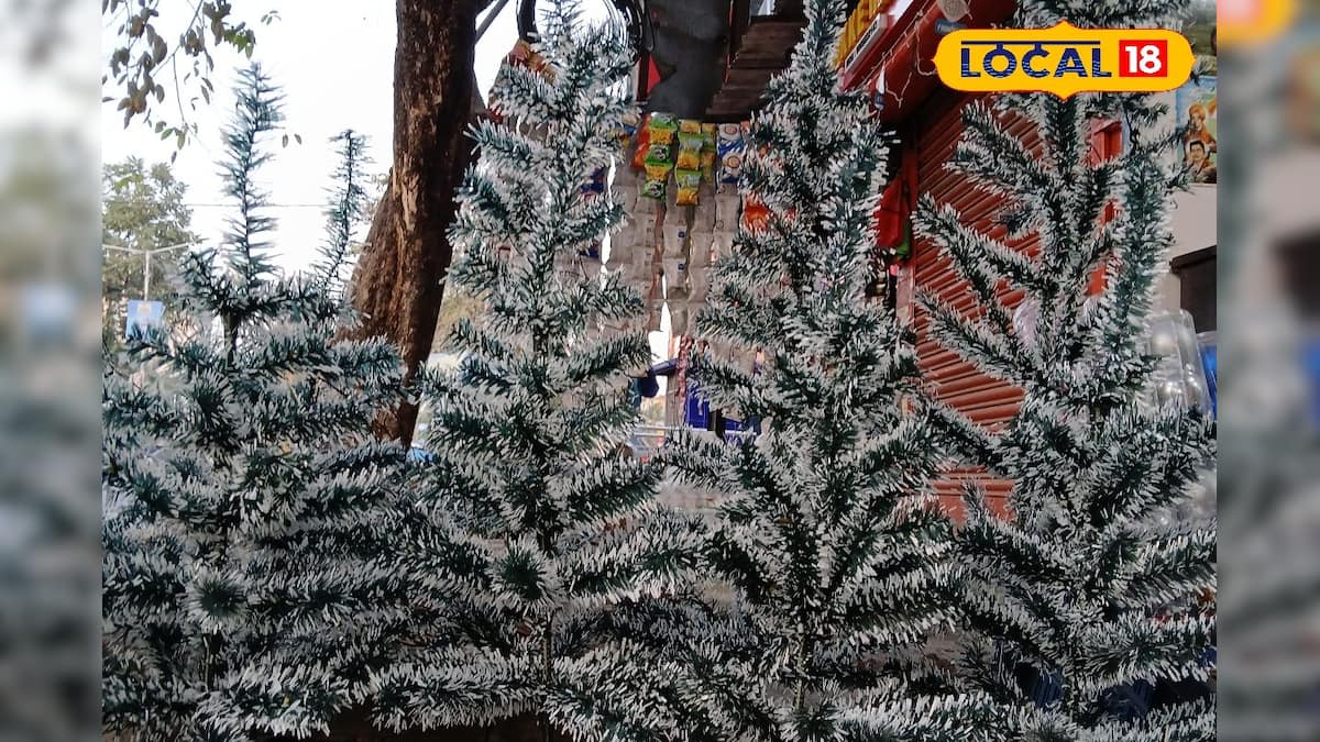 The city will be decorated for Christmas! Christmas snow tree is ...