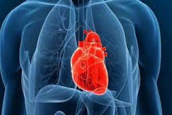 High Cholesterol Control Tips কিছু খাবার শরীর থেকে খারাপ কোলেস্টেরল