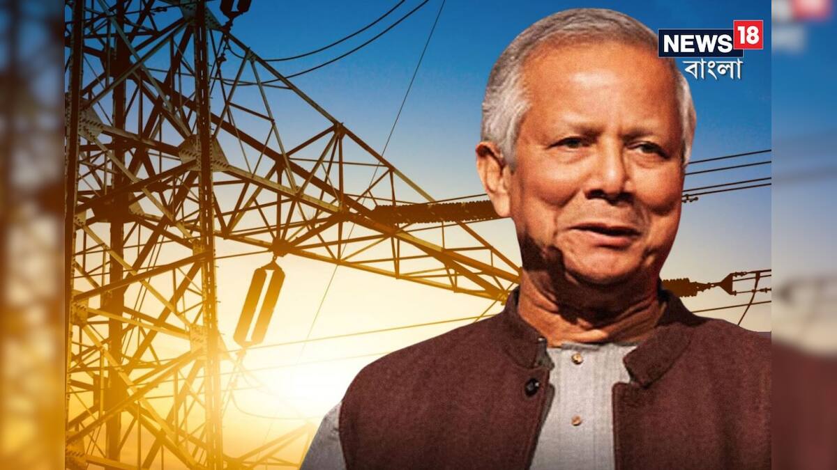 Bangladesh electricity bill due: মুখে বড় বড় কথা, এদিকে বিদ্যুতের বিল ...