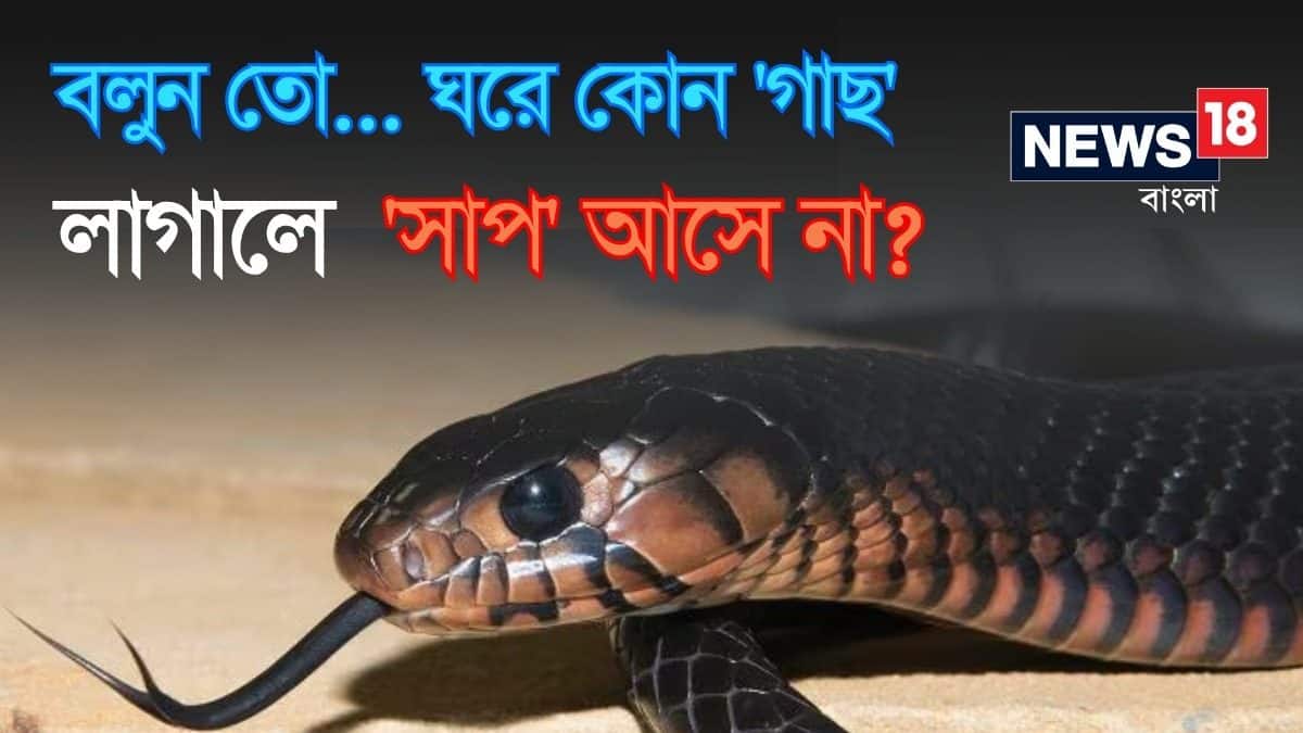 Snake Facts:বাড়িতে কোন 'গাছ' লাগালে 'সাপ' আসে না বলুন তো...? চমকে দেবে ...