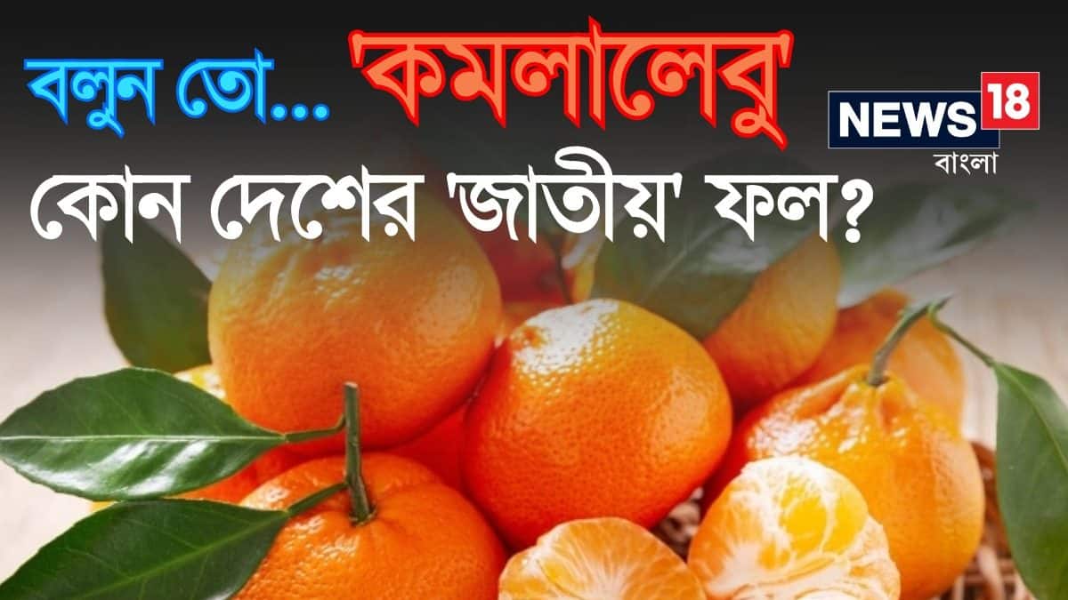 Orange: 'কমলালেবু' কোন দেশের 'জাতীয় ফল' বলুন তো...! চমকে দেবে 'উত্তর ...