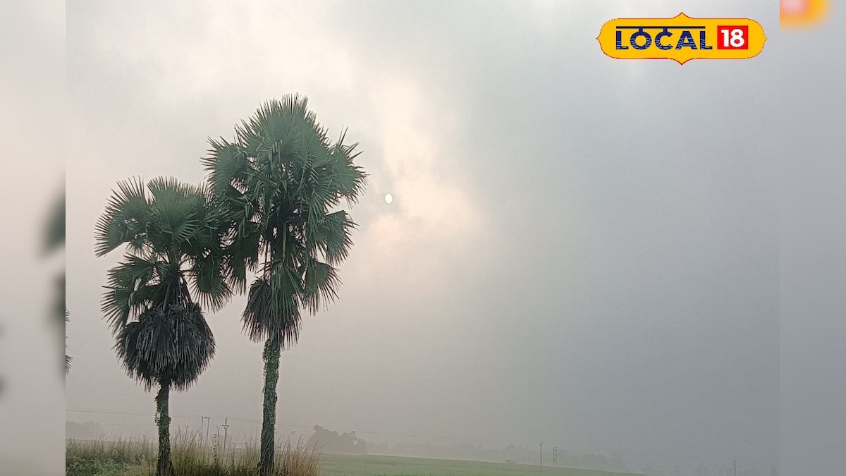 Saraswati Puja Weather Forecast: কুয়াশামাখা ভোরের পরই হাড়কাঁপানো ঠান্ডা? সরস্বতী পুজোয় কেমন ...