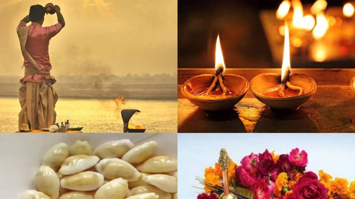 Magh Month Astro Tips: চলছে মাঘমাস, বিশেষ ৩ গাছের যে কোনও ১ টি বাড়িতে ...
