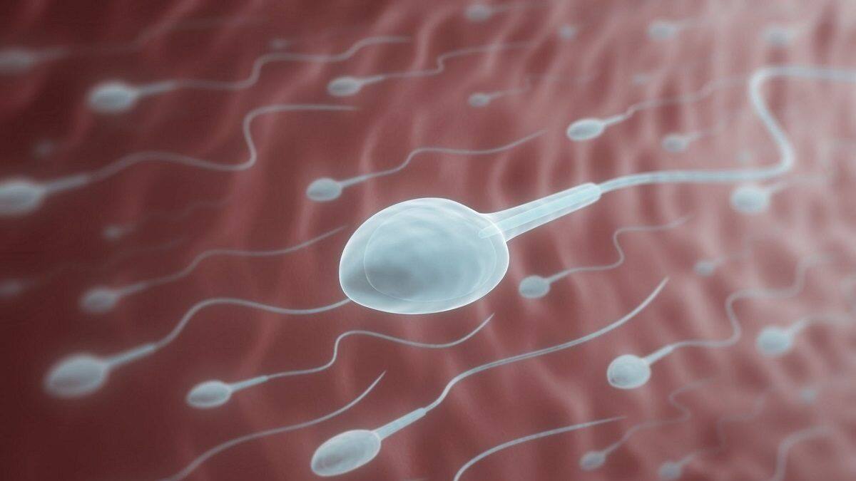 Fertility: লাল রঙের এই ফল খেলেই হুহু করে বাড়বে শরীরের চাহিদা, ৮০ শতাংশ ...