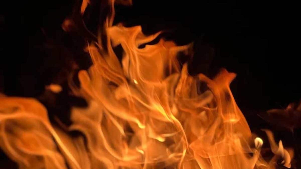 West Bengal news চন্দননগরে ভয়ঙ্কর ঘটনা! অগ্নিকাণ্ডের জেরে দগ্ধ একই ...