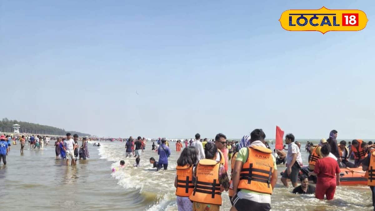 Digha - Viral Video: দিঘার সমুদ্রে ভেসে এল এই প্রাণী! দেখেই সৈকত ছেড়ে ...