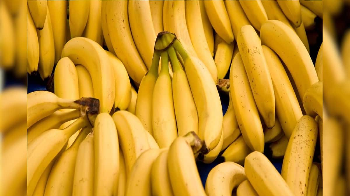 How to Identify Real Banana: বাজার থেকে যে কলা কিনছেন আদৌ ভাল তো ...