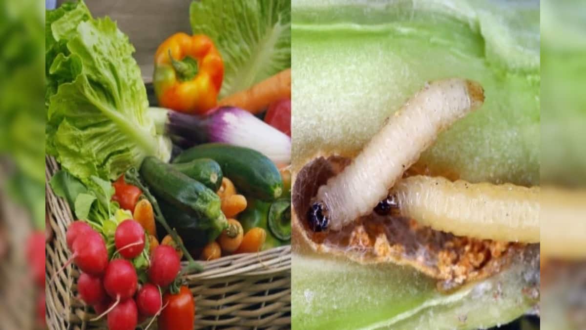 Tapeworm: বেয়ে বেয়ে উঠে যায় সোজা ঘিলুতে! জানেন, কোন '৬ সবজি ...