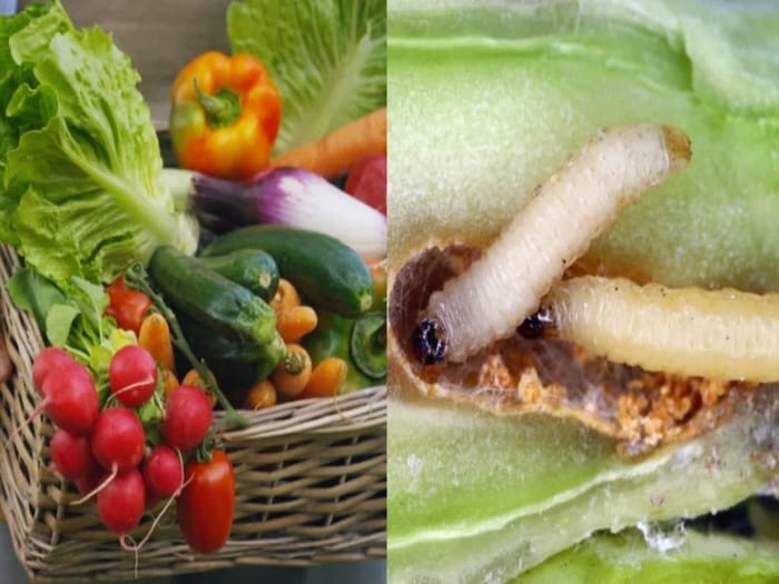 Tapeworm in vegetables | এই সবজিগুলো খেলেই মাথায় ওঠে 'ফিতাকৃমি'! ঘিলু ...