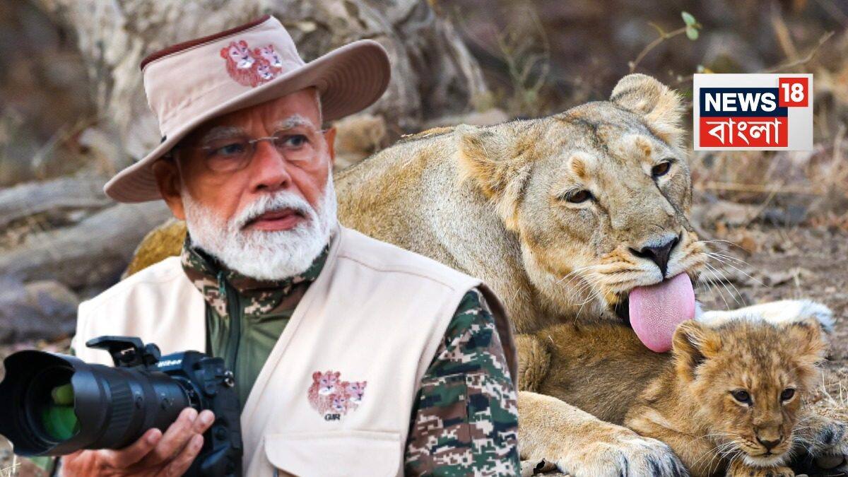 Narendra Modi Gir Safari: গিরে প্রধানমন্ত্রী, হাতে ডিএসএলআর, দেখলেন ...