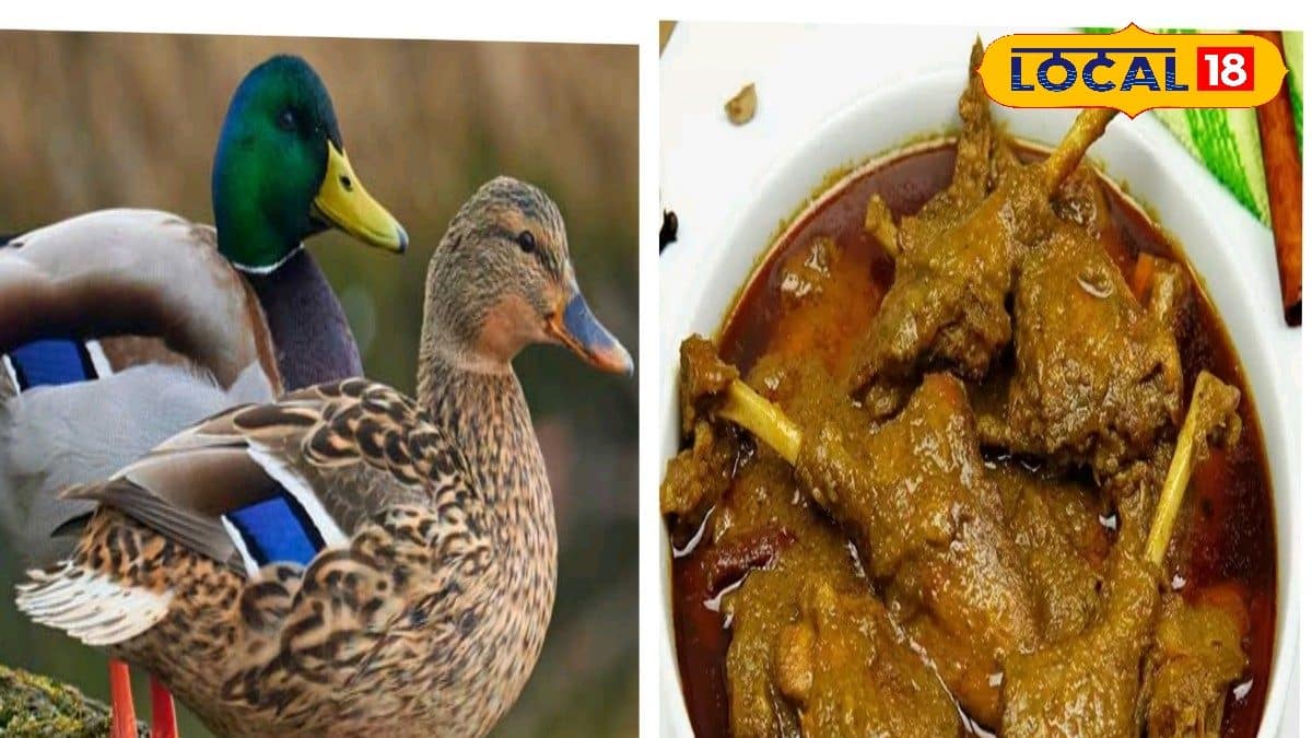 Haser Mangso: ডায়াবেটিসে খুবই ভয়ঙ্কর, সুস্বাদু হাঁসের মাংস খেলে ...