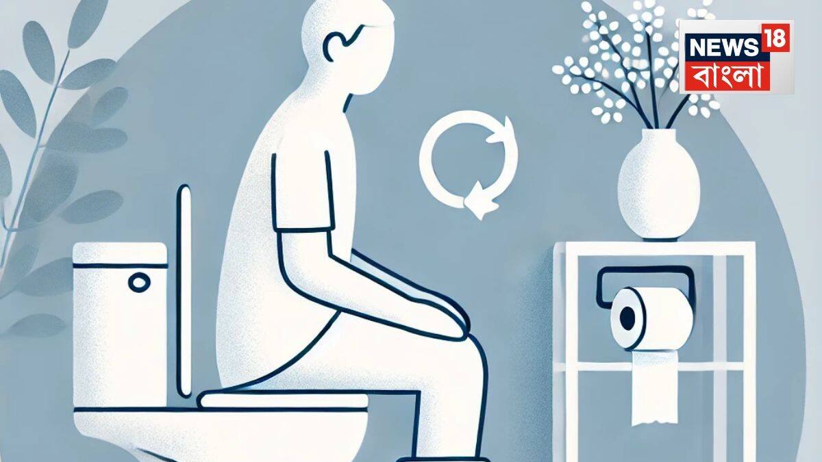 Constipation Toilet Posture: টয়লেট করার সময় এইভাবে বসলেই দূর হবে ...