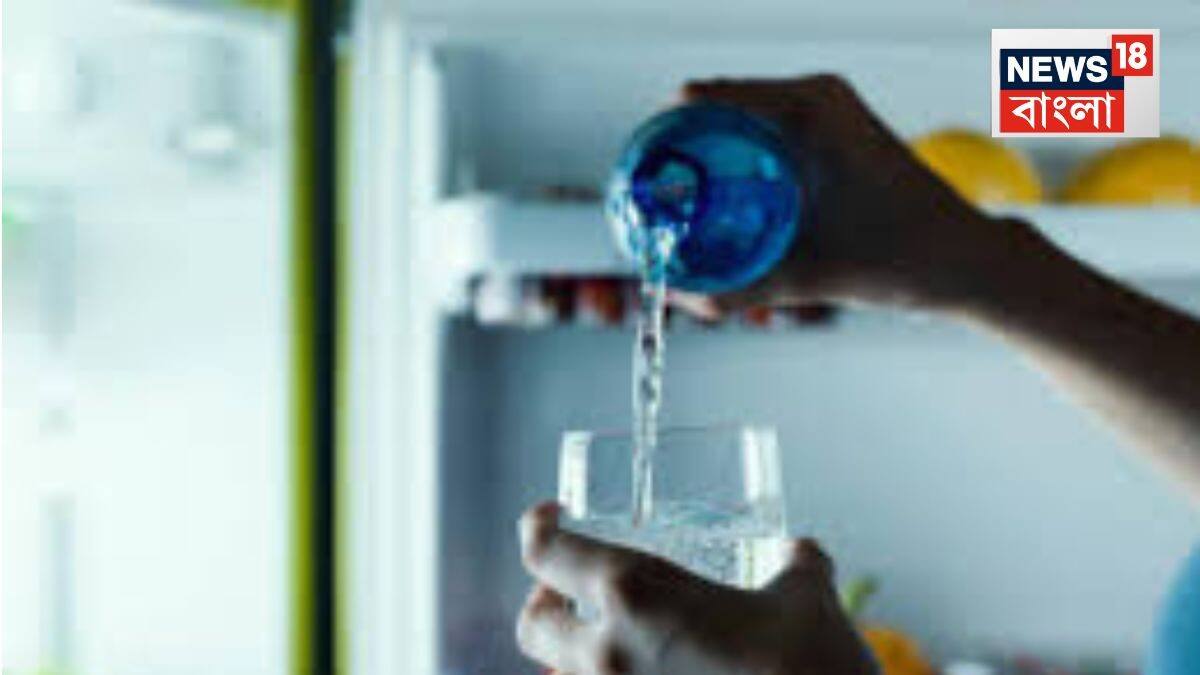 Drinking Cold Water Side Effects: বাইরে থেকে এসেই ফ্রিজ খুলে ঢক ঢক করে ...